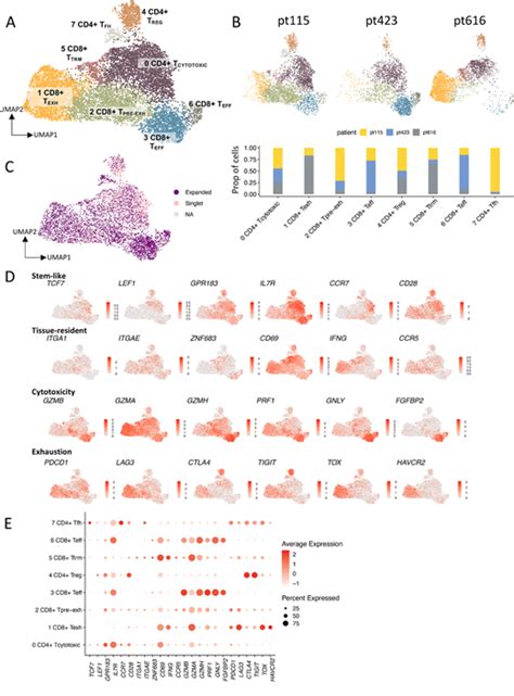 Immunologic Characterization And T Cell Receptor Repertoires Of