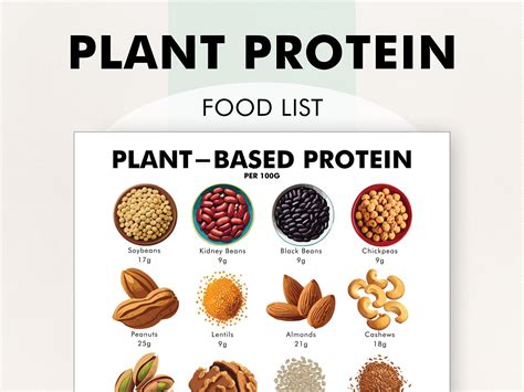 Plant Based Foods High In Protein List Plant Based Protein Foods List Plant Based Protein