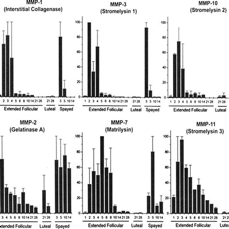 Mrna Expression Of Various Mmps In The Rhesus Menstrual Cycle Plots Of