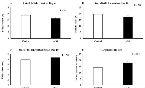 Ultrasound Results From Control And Ecg Treated Cows Synchronized With