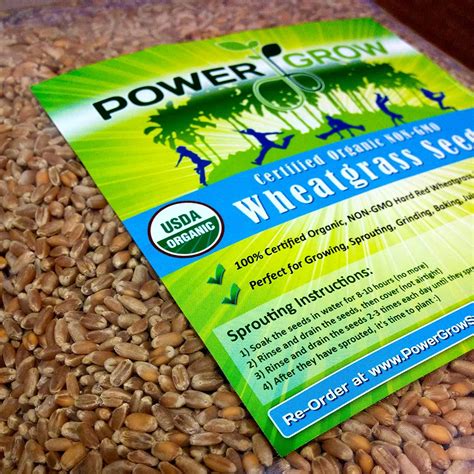 Certified Usa Hard Red Wheatgrass Seeds By Powergrow 5 Pounds Buy Now With Express