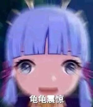 神里绫华乌龟是什么梗 神里绫华乌龟梗意思介绍 星芒手游网