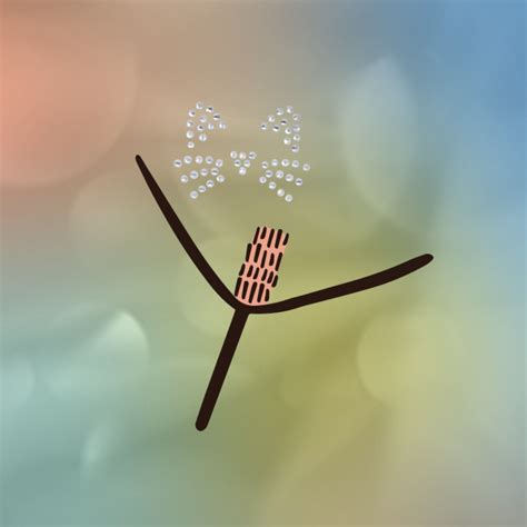 Vajazzling Bushbalm