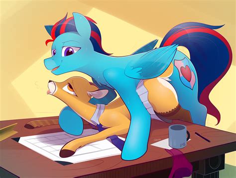 Braddo Porn Arts