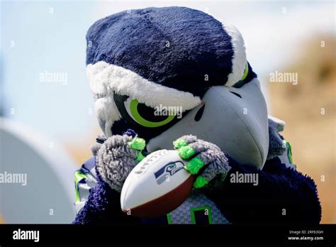 Blitz The Seahawk Signs A Ball During A Seattle Seahawks Back Together