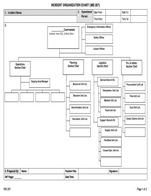 IMS Incident Organization Chart Incident Management System IMS Forms Fill And Sign