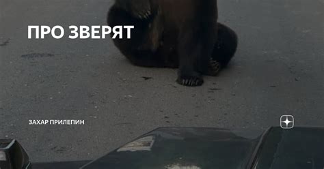 ПРО ЗВЕРЯТ Захар Прилепин Дзен