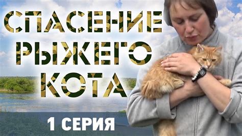 СПАСЕНИЕ РЫЖЕГО КОТА - 1 серия КОТОЖИЗНЬ! 16 и 18 июня 2019 - YouTube