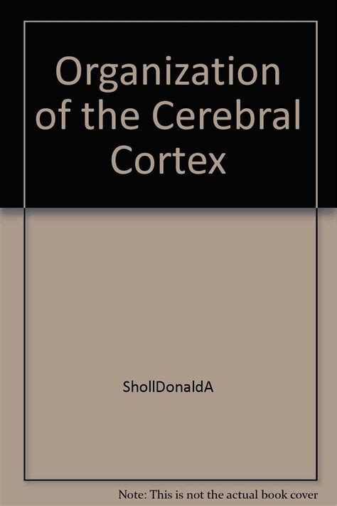The Organization Of The Cerebral Cortex Movies And Tv The Organization Of The Cerebral Cortex Movies And Tv