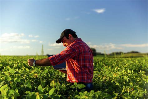 Corn And Soybean Crops Ahead Of Schedule Below Expectations