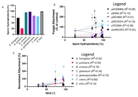 Figure S3 Fungal Attachment Versus Spore And Polymer Hydrophobicities