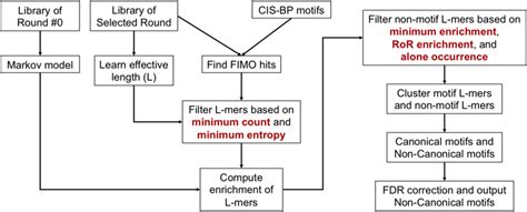 Flow Diagram Of The Current Analysis Pipeline To Identify Non Canonical