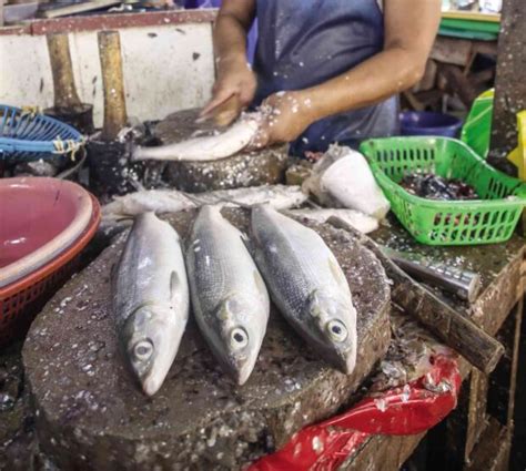Tinitingnan Ng Da Ang Laguna Lake Rehab Na Bawasan Ang Presyo Ng