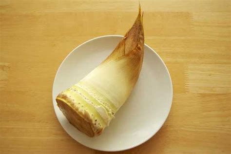 Bambu Muda Ini Ternyata Bisa Dimakan Dan Kaya Manfaat Bikin Awet Muda