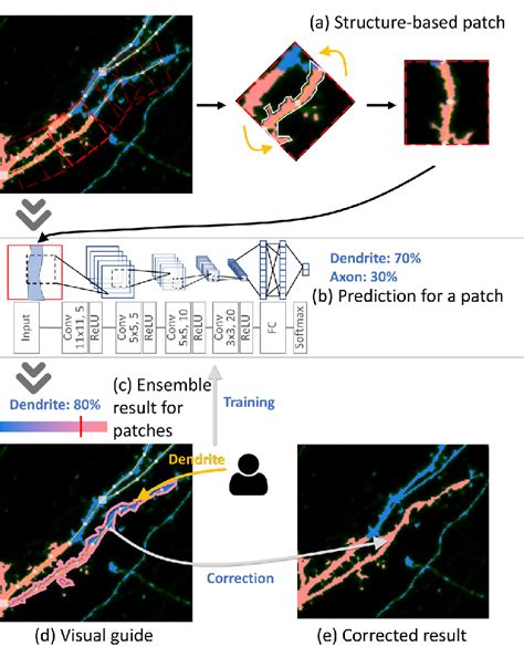 structure correction process through deep learning a generation of