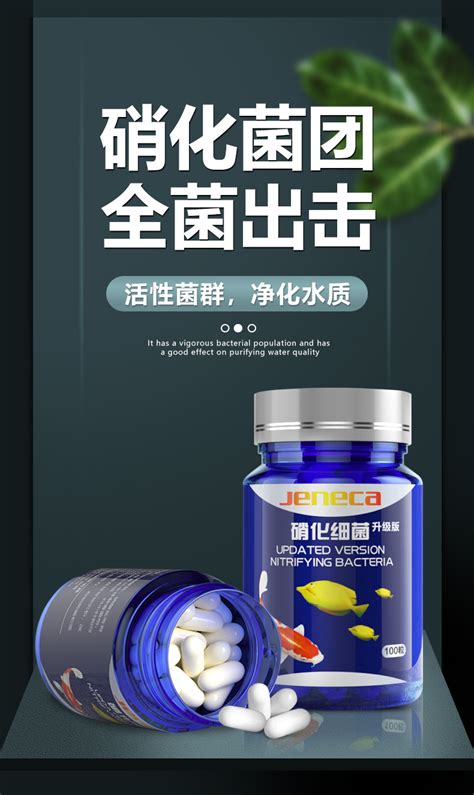 鱼缸硝化细菌胶囊专用水质稳定剂杀菌净水剂浓缩硝化细菌净化速溶 阿里巴巴