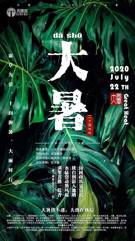 大暑二十四节气之一 Poster Movie Posters Sirius