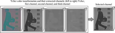 Visualization Of Preprocessing Step Download Scientific Diagram