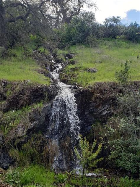 Chp Sonora Home Facebook