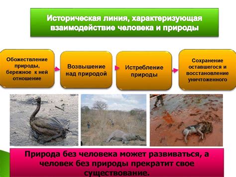 Человек общество природа 8 класс презентация онлайн