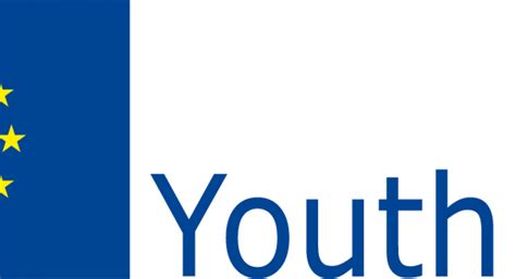 Youth Wiki już działa! - Aktualności - Fundacja Rozwoju Systemu Edukacji