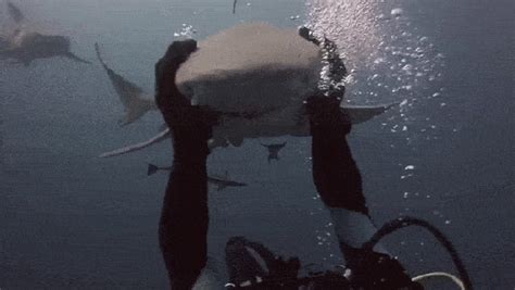 Play Dirty On Tumblr