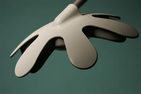 Robin Photography: Organic Shape.