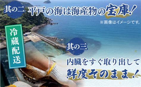 【着日指定 可能】【平戸市場直送】旬の獲れたて鮮魚 冷蔵 4〜5種 【ひらど新鮮市場】 Kab030 刺身 セット 通販 お取り寄せ