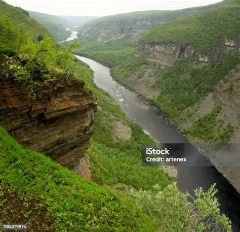 산강과 나무 는 자연 환경을 경관 유럽의 북부 노르웨이에서 하이킹 0명에 대한 스톡 사진 및 기타 이미지 0명 가문비나무 가을 Istock