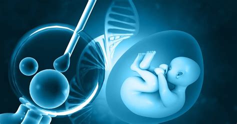 Robot Uses ‘claw Machine Design To Sort Stem Cells For Embryo Model