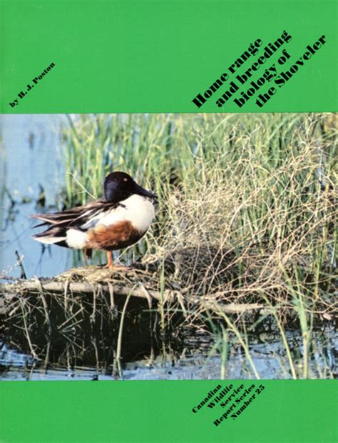 History Of Parks Canada Wildlife Canadian Wildlife Service And Parks