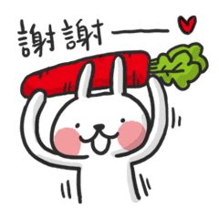 Line Line Store