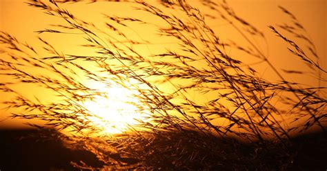 Portugal Em Seca Enfrenta Agora Onda De Calor Climatologista Explica