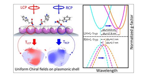 Chiral Plasmonic Shells High Performance Metamaterials For Sensitive