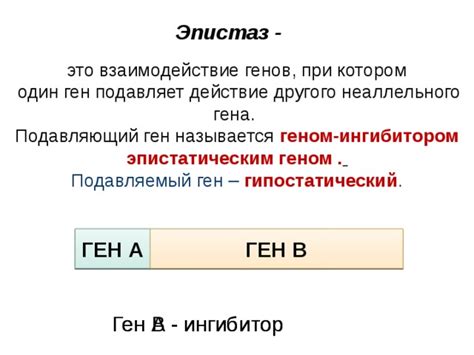 Эпистаз генов
