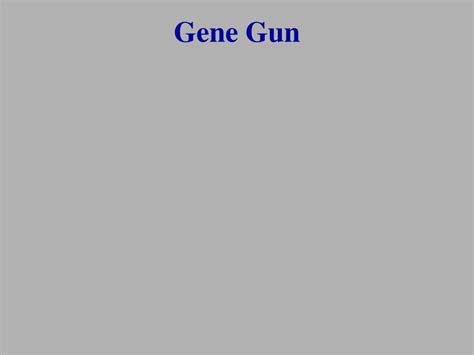 Ppt Tumor Immunology Powerpoint Presentation Free Download Id1150987