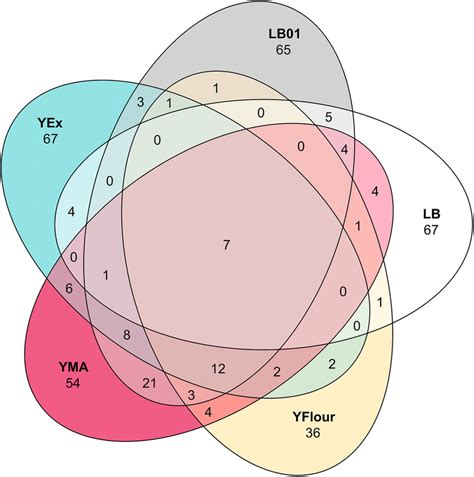 Venn Diagram Showing Shared And Unique Amplicons Sequence Variants Download Scientific Diagram