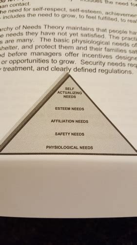Maslow Hierarchy Of Needs Flashcards Quizlet