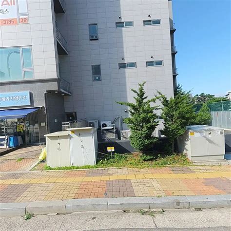 파주시 동패동 프라임vip 헬스장 우리동네 정보마켓