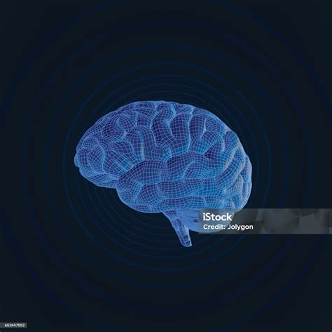 리플 파 Bg 블루 3d 와이어 프레임 그림 뇌에 대한 스톡 벡터 아트 및 기타 이미지 뇌 3차원 형태 개념과 주제 Istock