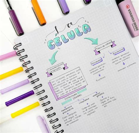 ﾟ Rosyestudies ﾟ On Instagram ideas De Títulos Cute in 2022