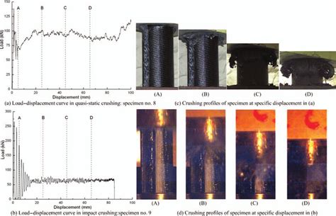 Responses Of Two Typical Specimens With The Same Structure Subjected To