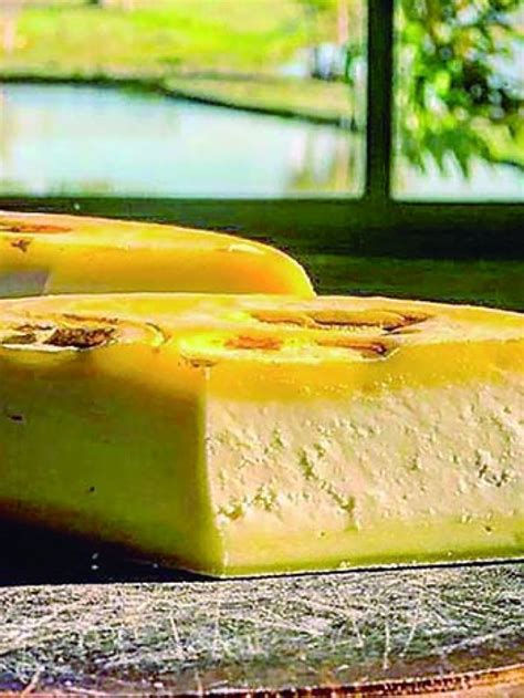 Dia Mundial do Queijo Hoje é dia de reverenciar maior identidade