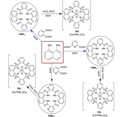 Scheme 1 Synthesis Of Amide Based Macrocyclic Ligands And Their Coii Download Scientific