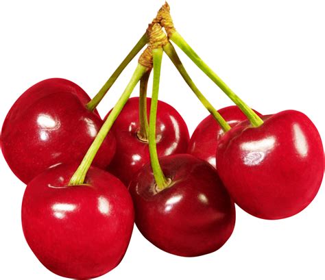 Collection Of Hq Cherry Png Pluspng The Best Porn Website