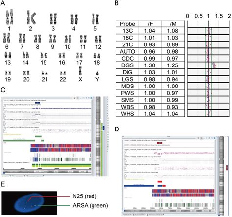 Karyotype Analysis BoBs Analysis SNP Array Analysis And FISH Download Scientific Diagram