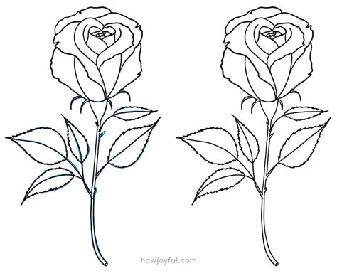 Drawing Stencils Outlines Of Roses Tutorial