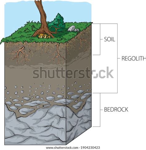 Illustration Vertical Cross Section Surface Bedrock Stock Vector Royalty Free 1904230423