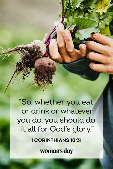 20 Bible Verses About Hard Work