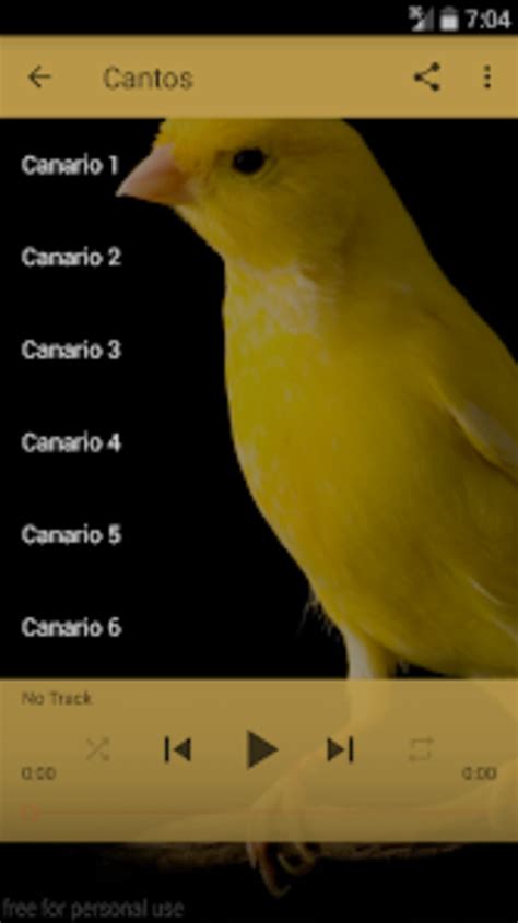 Canary Bird Sound For Android Download